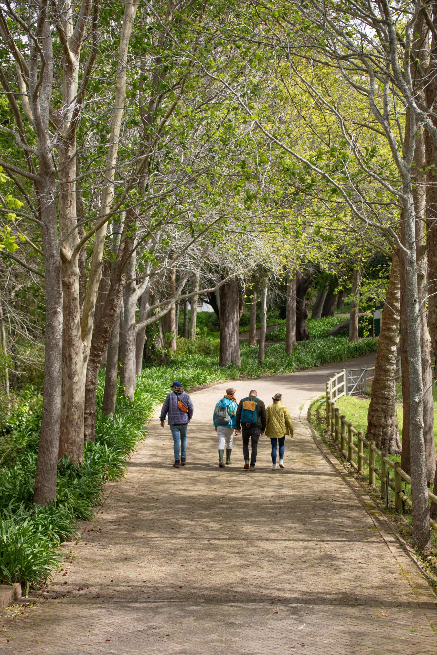 Natural Wanders | Cape Town's Best Walking Tours